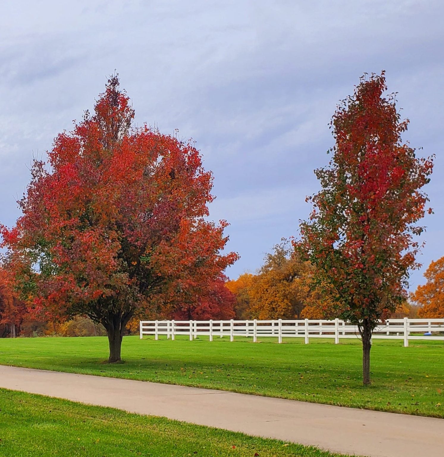 The best fall color photos submitted from 2022 - Iowa Road Trip