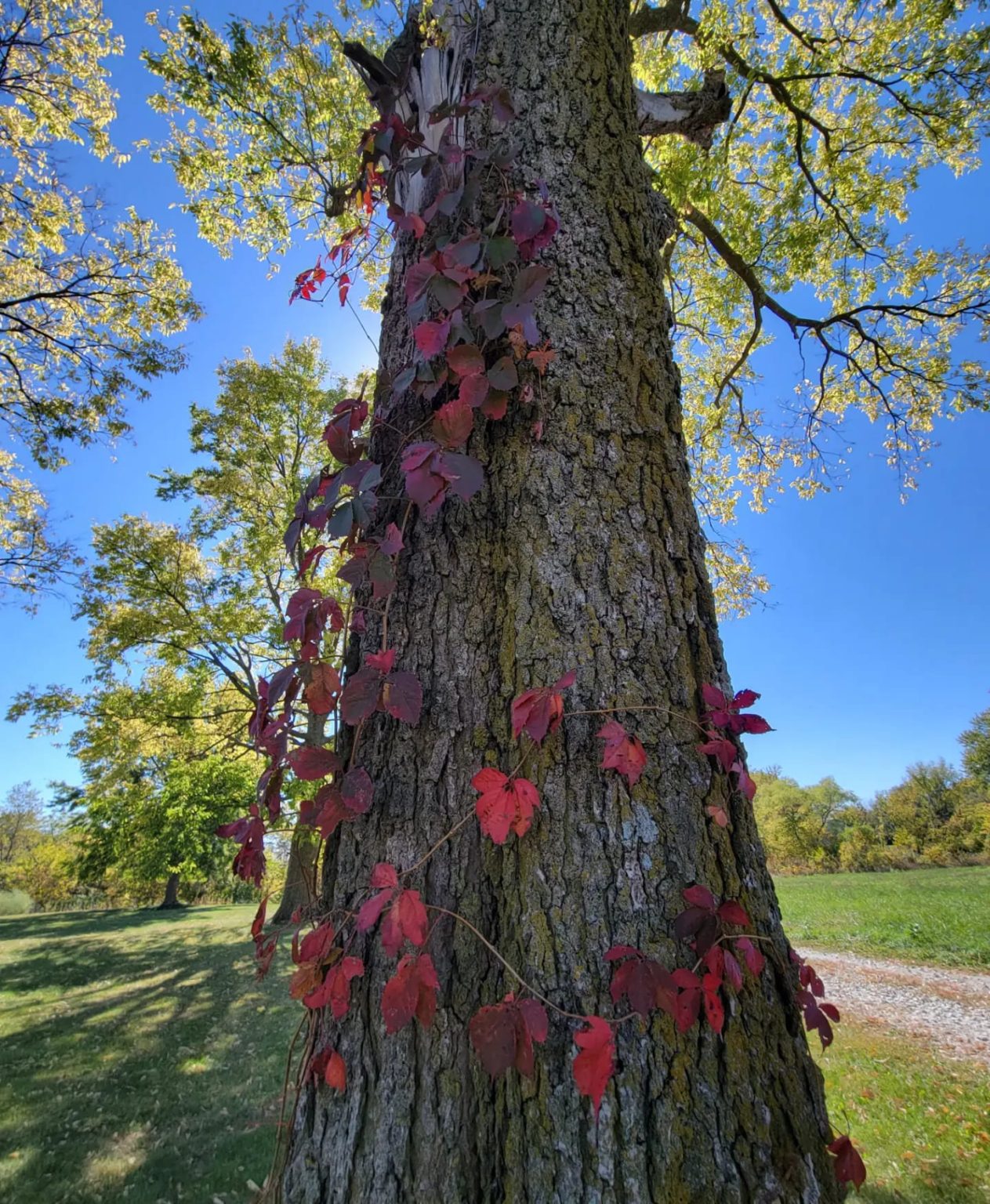 The best fall color photos submitted from 2022 - Iowa Road Trip