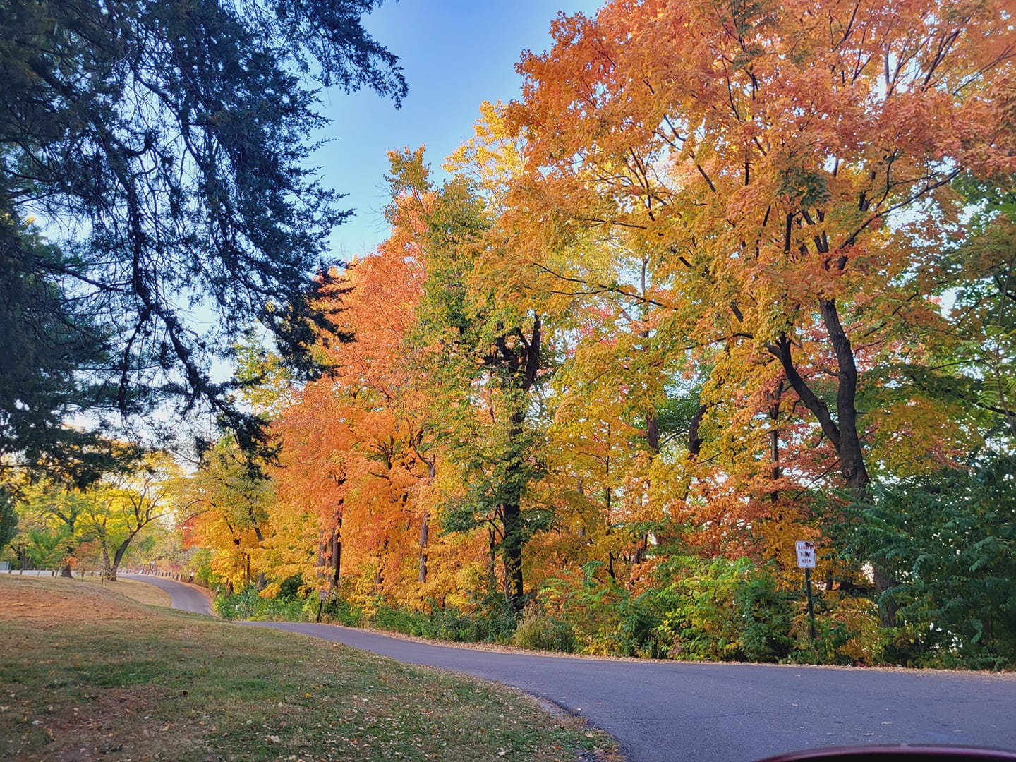 Our favorite fall photos submitted in 2024 - Iowa Road Trip